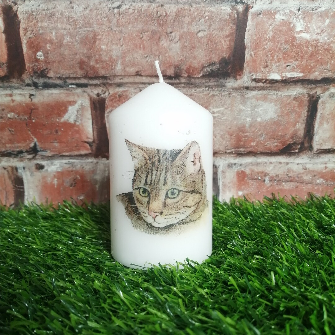 Candle With Cat, Pillar Candle, Animal Candle, Decorated Candle ...