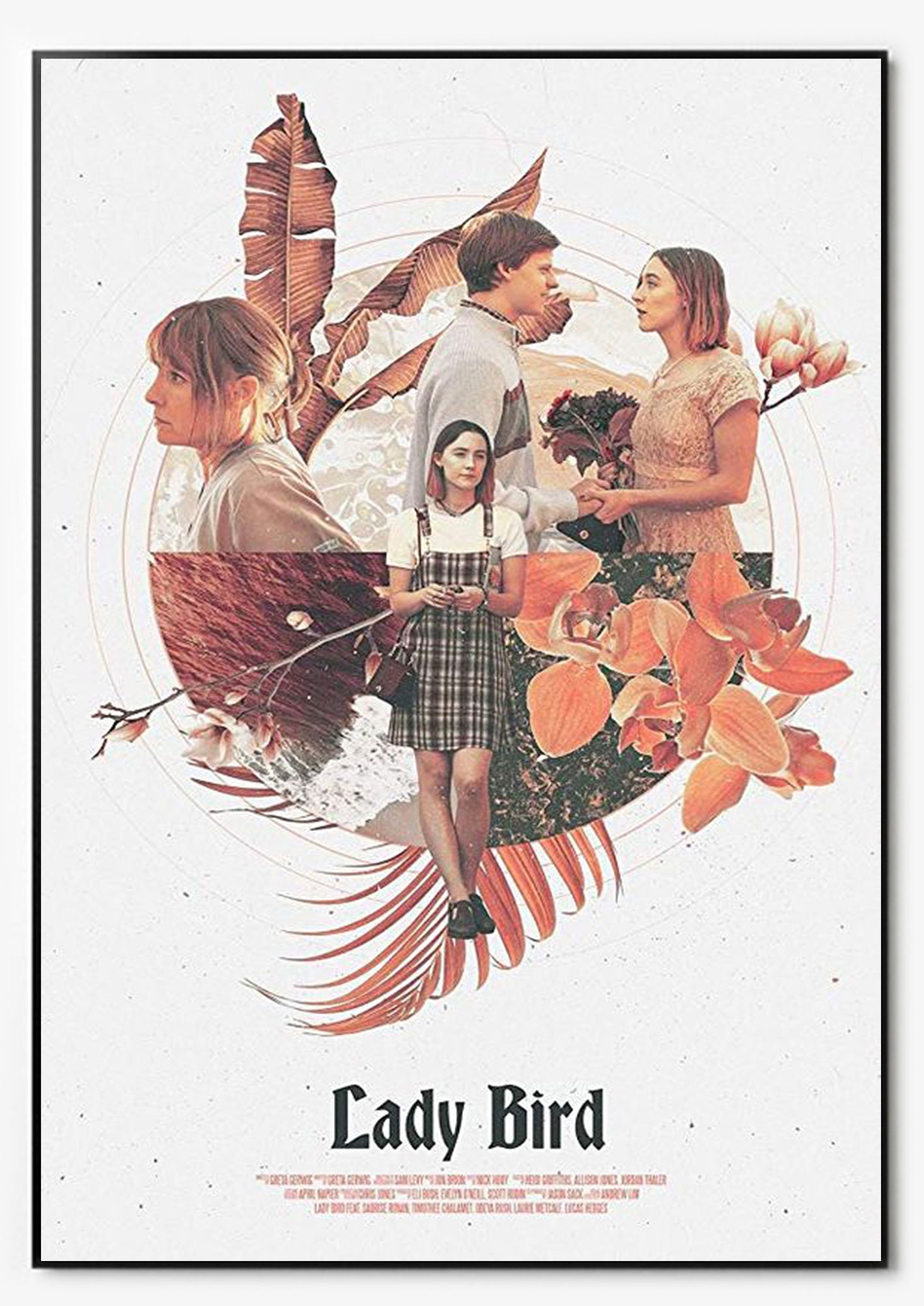 Lady Bird Film Poster, Saoirse Ronan Poster, Timothee Chalamet Poster ...