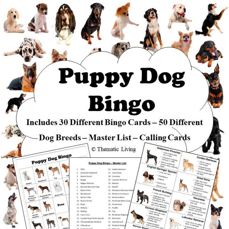 Dog Birthday Party Game - Etsy