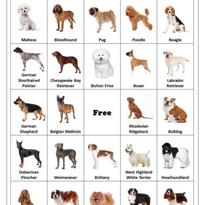 30 Puppy Dog Bingo Cards Dog Birthday Party Game Dog Breeds Dog Lover ...