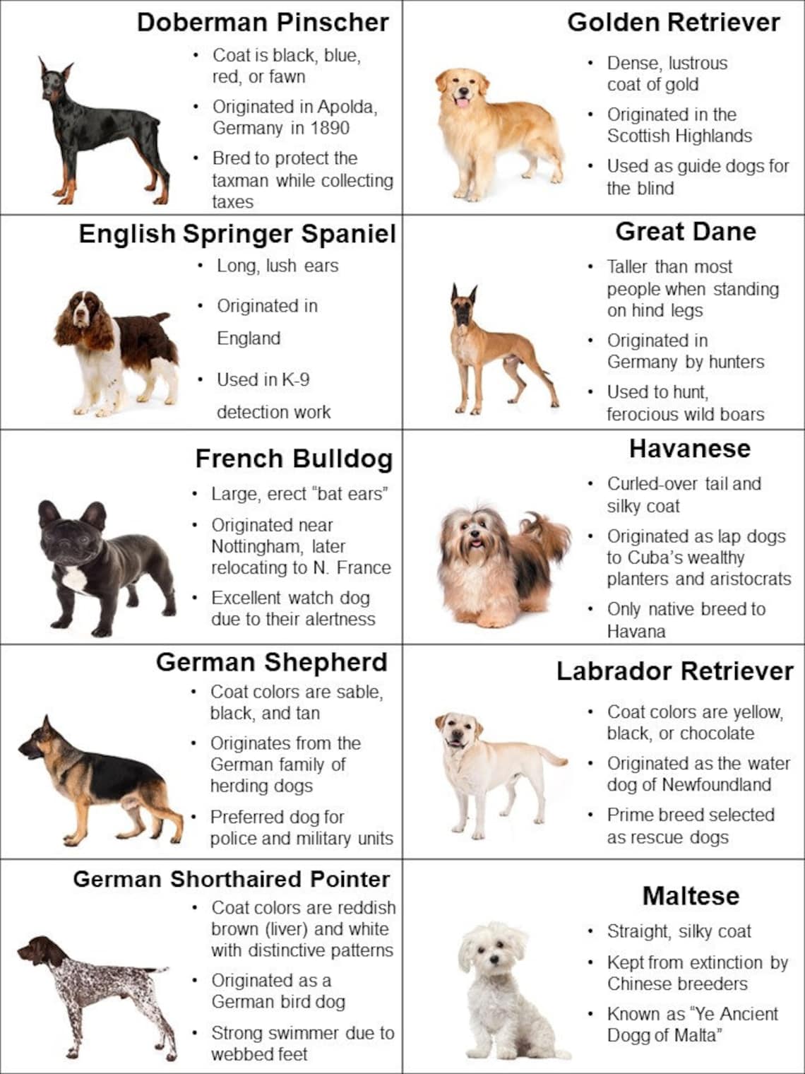 30 Puppy Dog Bingo Cards Dog Birthday Party Game Dog Breeds Dog Lover ...