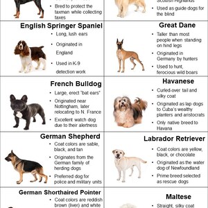 30 Puppy Dog Bingo Cards Dog Birthday Party Game Dog Breeds Dog Lover ...