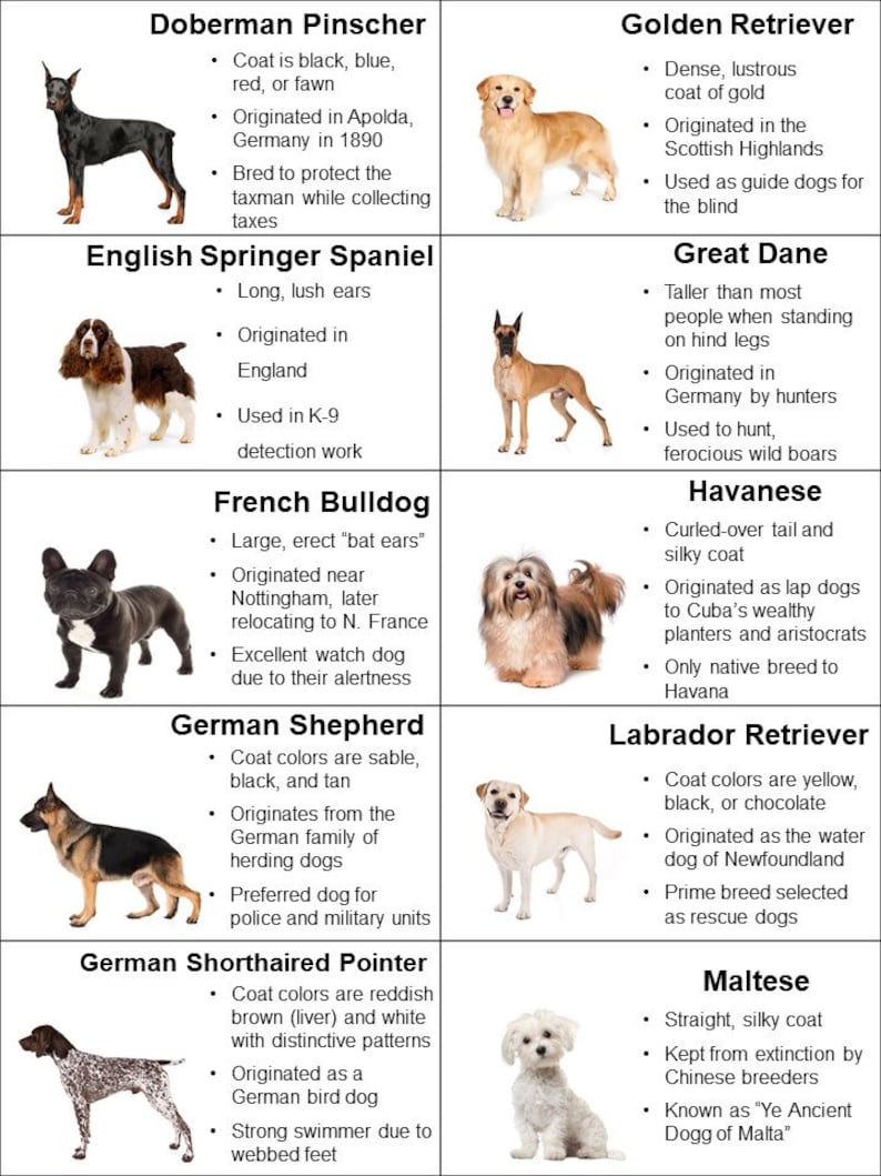 30 Puppy Dog Bingo Cards Dog Birthday Party Game Dog Breeds Dog Lover ...