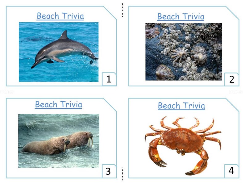 Beach Trivia Cards Trivia Questions Printable | Etsy