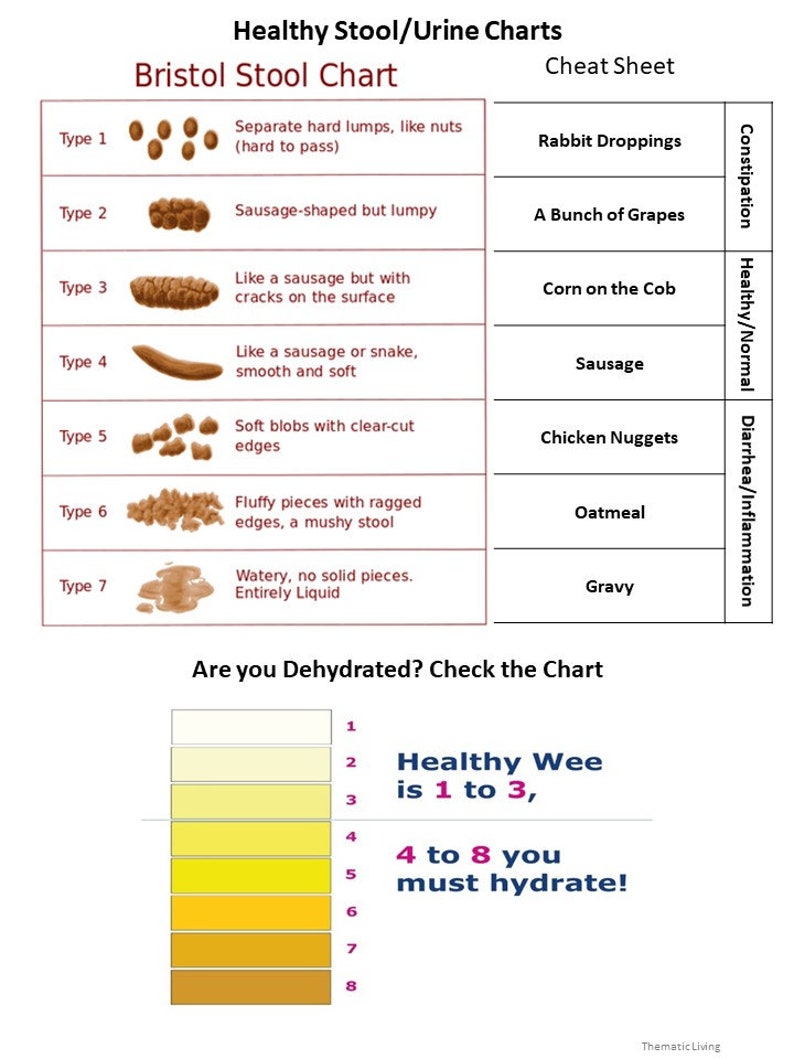 Elimination Diet Symptom Journal for Chronic Illnesses | Health ...