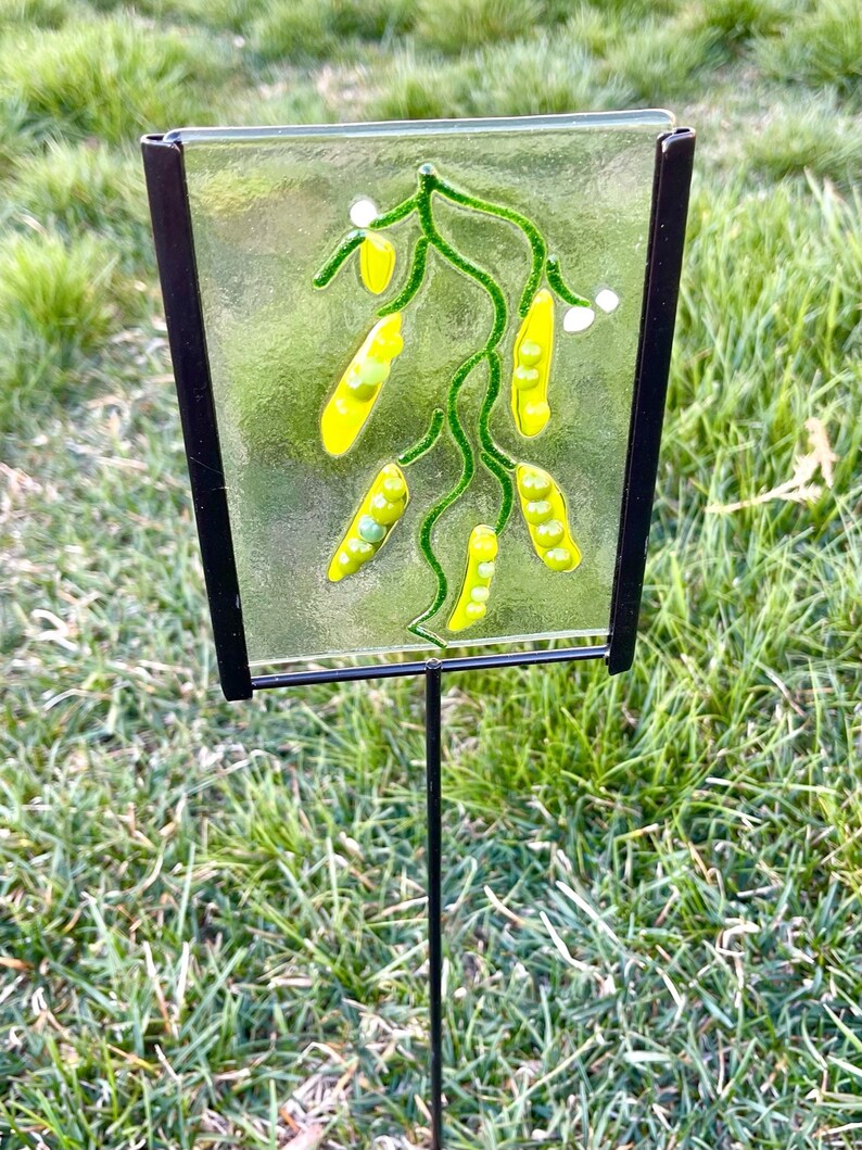 Fused Glass Peapod Garden Stake - Etsy