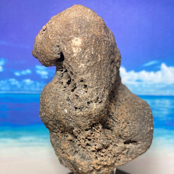 Dinosaur Dung - Etsy