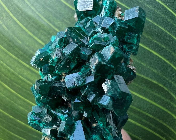 Spectacular Emerald Green Dioptase Crystal Cluster From Namibia • 17 ...