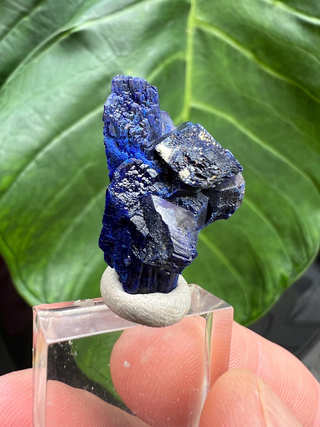 Blue Azurite Crystal Cluster From Touissit Morocco • 6 Grams Natural ...