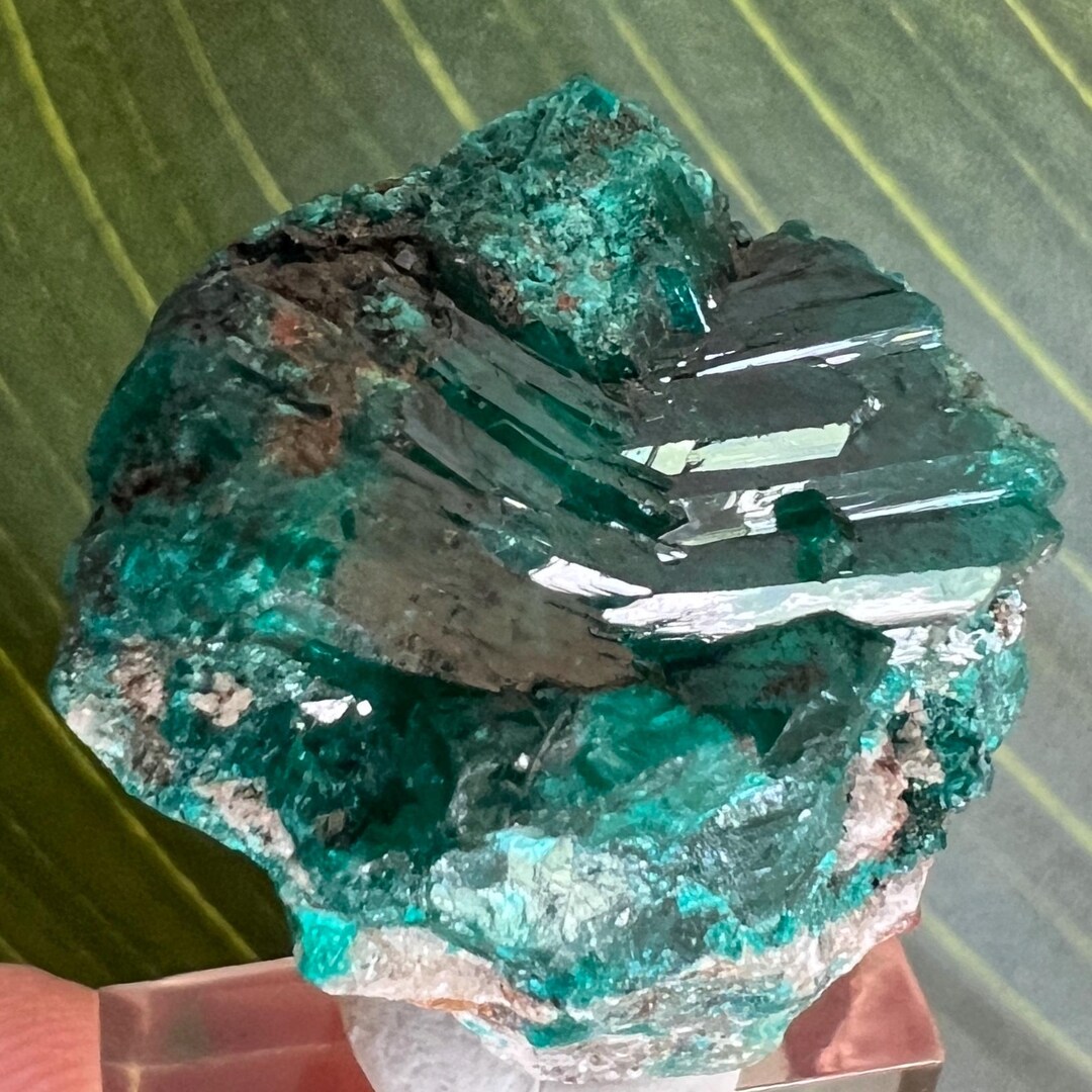 Emerald Green Dioptase Crystal Cluster • 13 Grams Pool Region Congo Raw ...