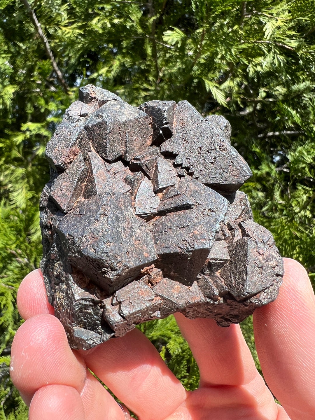 Chunky Monkey Magnetite Crystal Cluster That I Collected in Southern ...