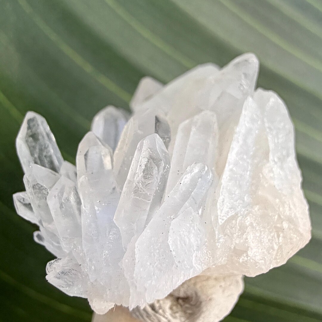Authentic Lemurian Seed Crystal Cluster • 27 Grams Natural Akashic Bar ...