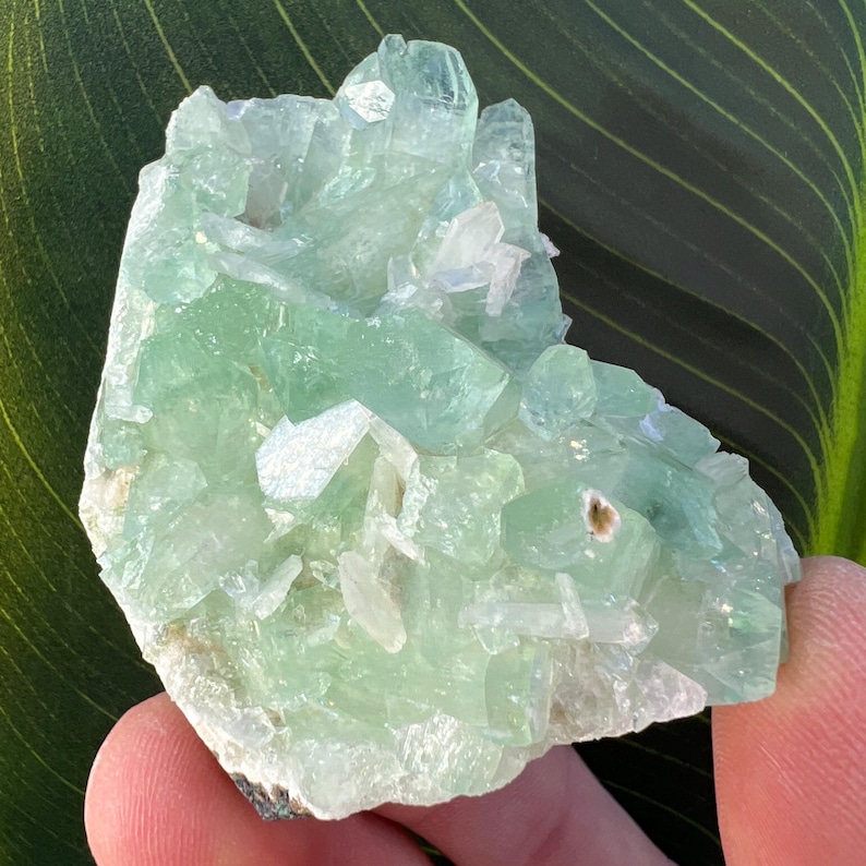 Self Standing Green Apophyllite Crystal Cluster W/ Stilbite • 99 Grams ...