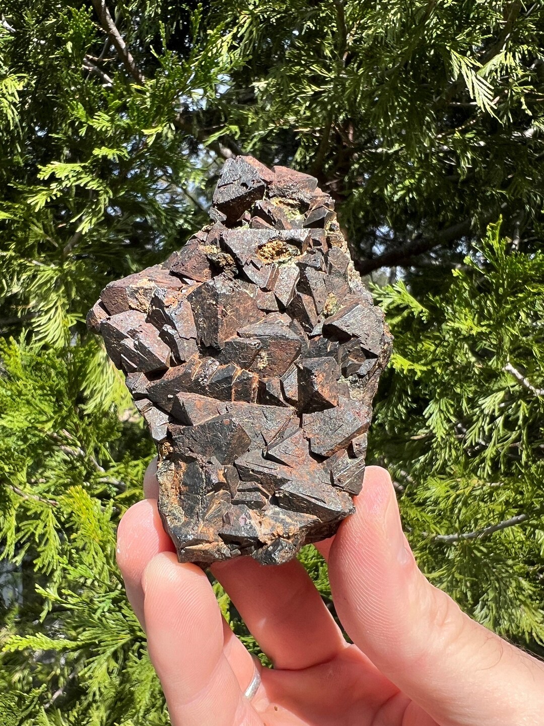 Large Magnetite Crystal Cluster That I Collected in Southern Utah 3/4 ...