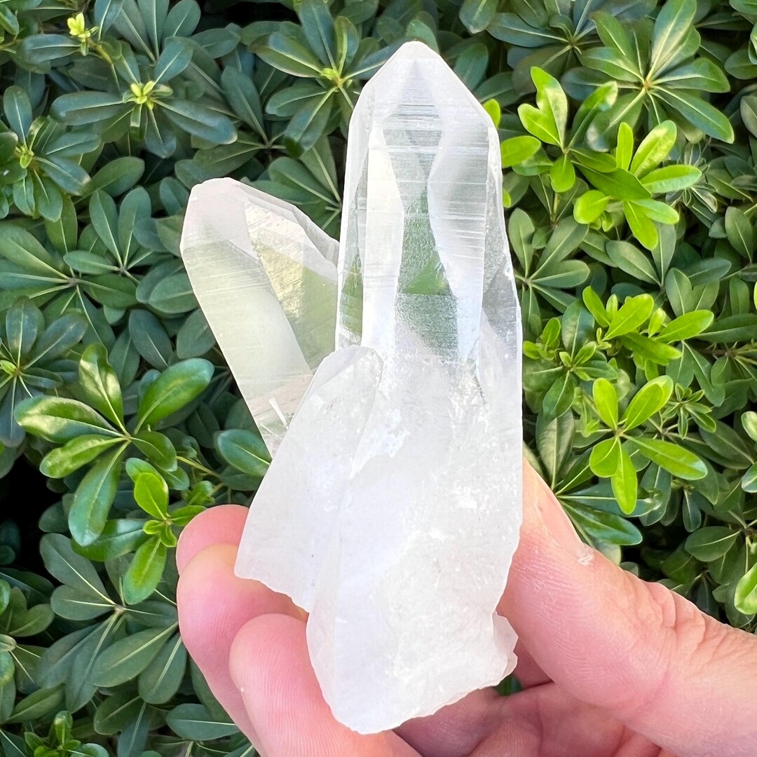 Larger Clear Lemurian Seed Crystal Cluster W/ Multiple Windows • 220 ...