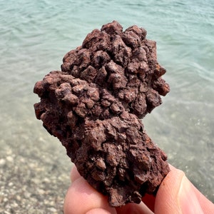 Fossilized Dino Dung COPROLITE Collected in Wyoming 1/3 of a Pound 145 ...