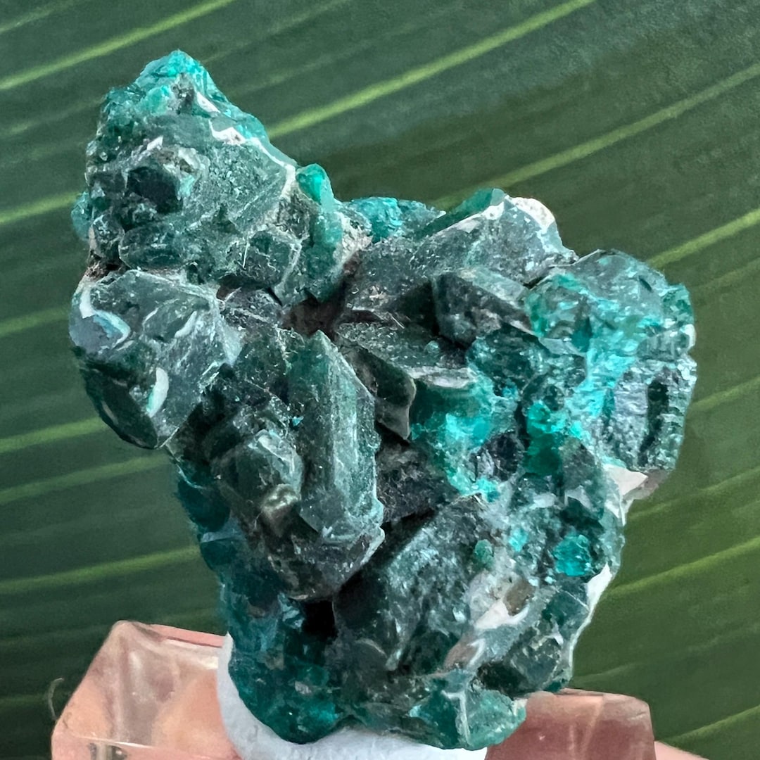 Cool Emerald Green Dioptase Crystal Cluster • 8 Grams From Pool Region ...