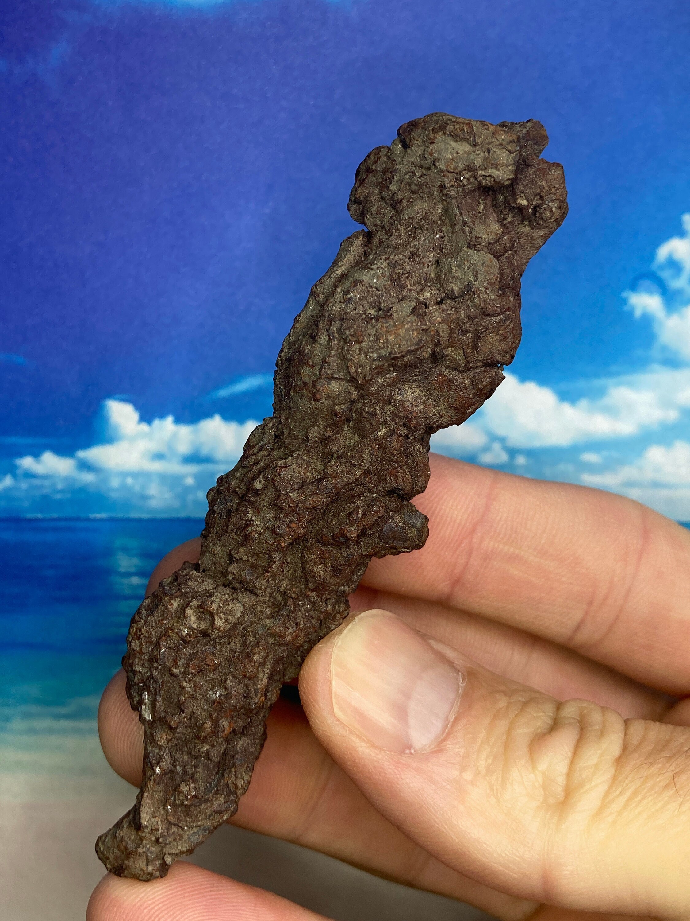 Paleolithic Poop