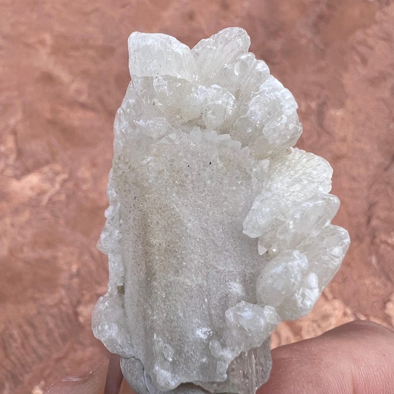 Danburite Crystal Encased in Flower Calcite • 43 Grams OLD STOCK ...
