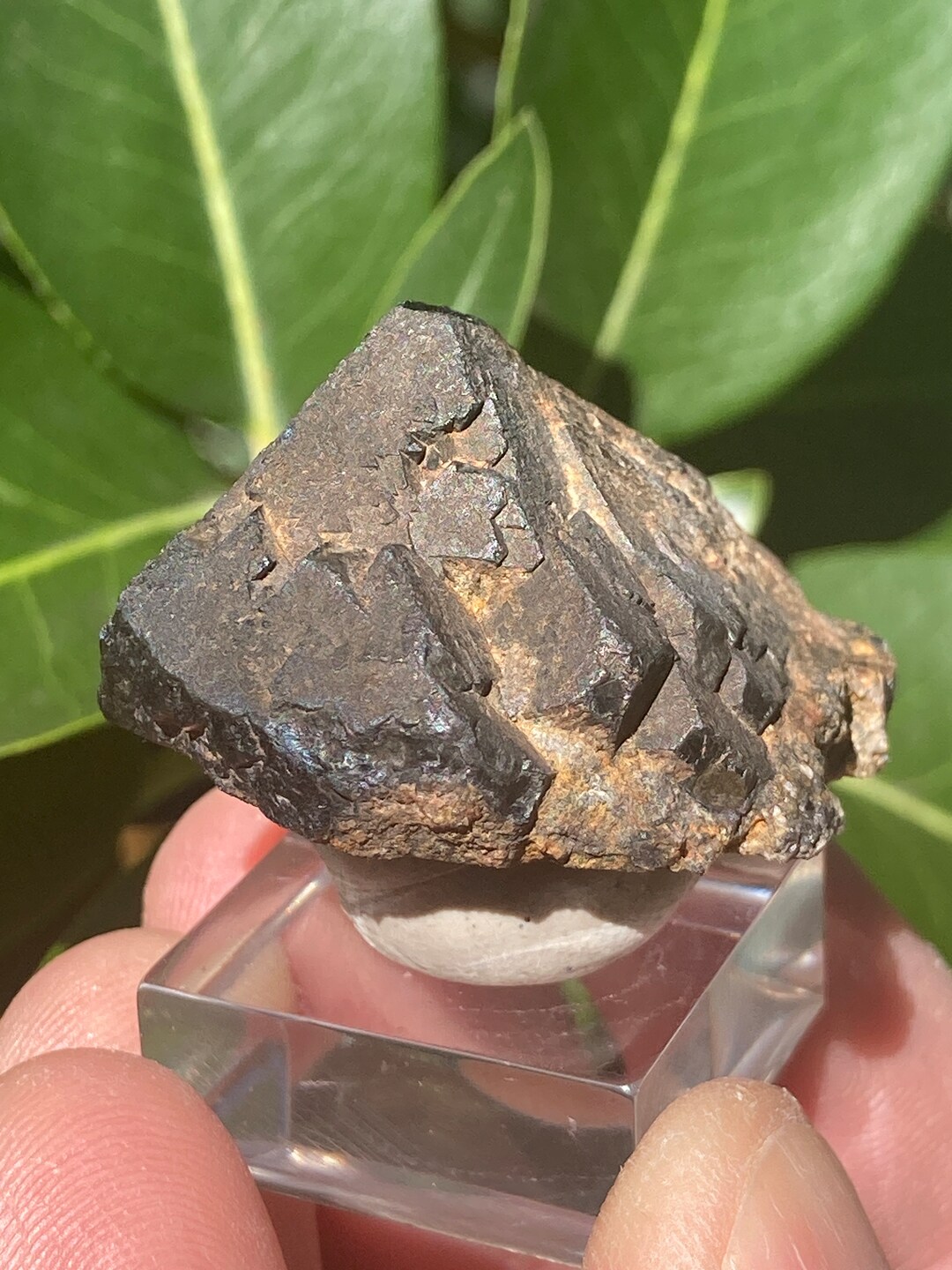 Magnetite Crystal Pryamid • 43 Grams • Collected by the Gemmiest (me ...