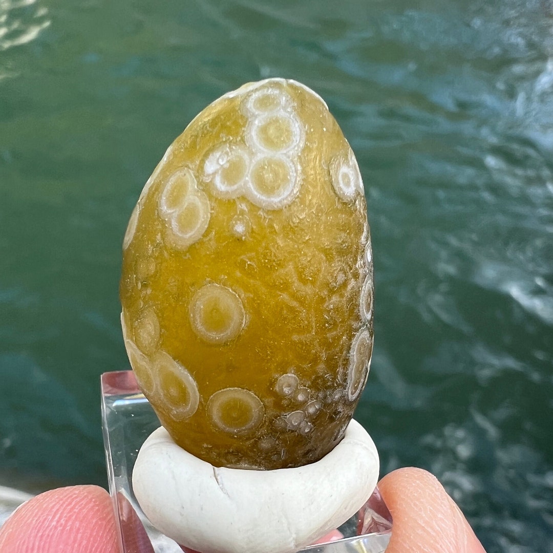 Yellow Green Gobi Eye Agate Gobi Desert Mongolia Agate Rare Chalcedony ...