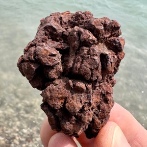 Fossilized Dino Dung COPROLITE Collected in Wyoming 1/3 of a Pound 145 ...