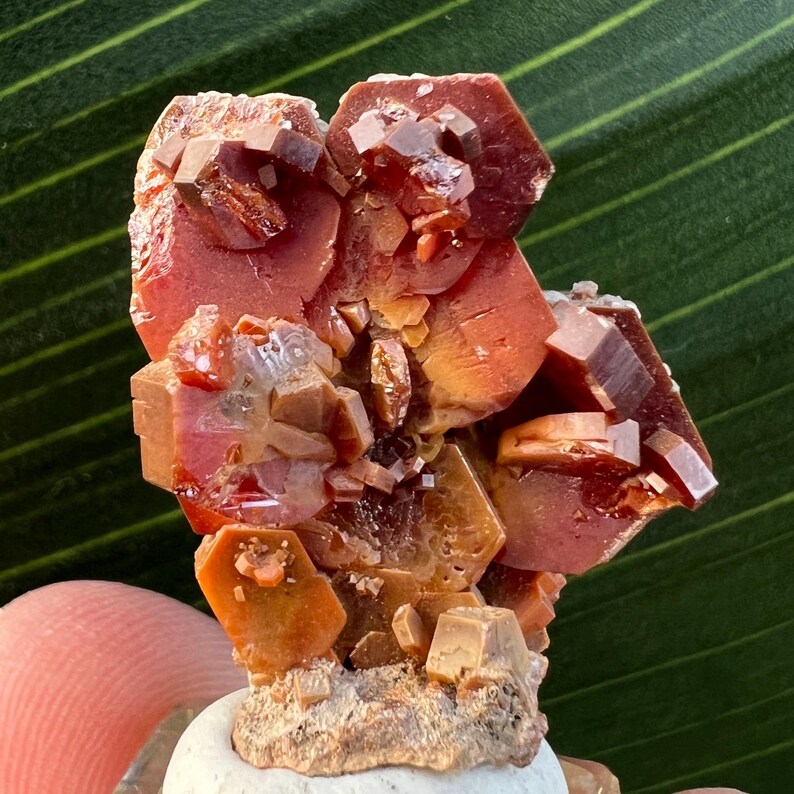 Self Standing Ruby Red Vanadinite Flower Cluster W/ Druzy Calcite • 31 ...