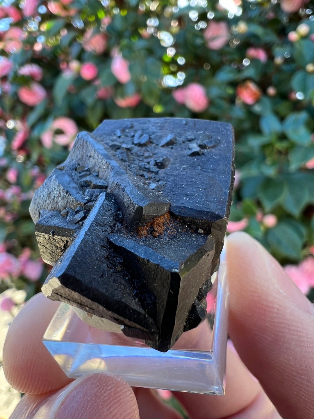 Rare Cubic Limonite Crystal From Morocco 32 Grams Museum Quality Rare ...
