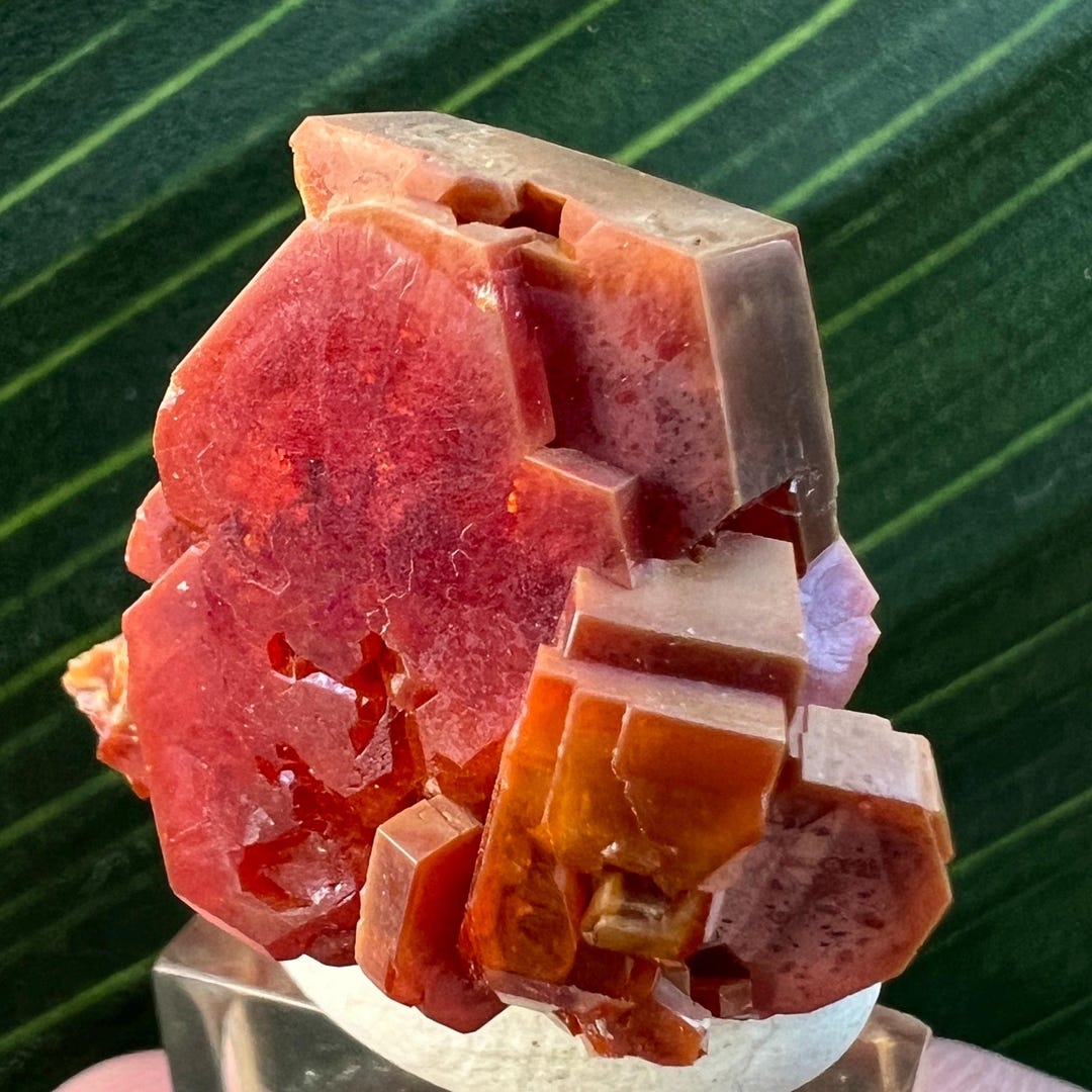 Chunky Ruby Red Vanadinite Flower Cluster • 20 Grams Natural Vanadanite ...