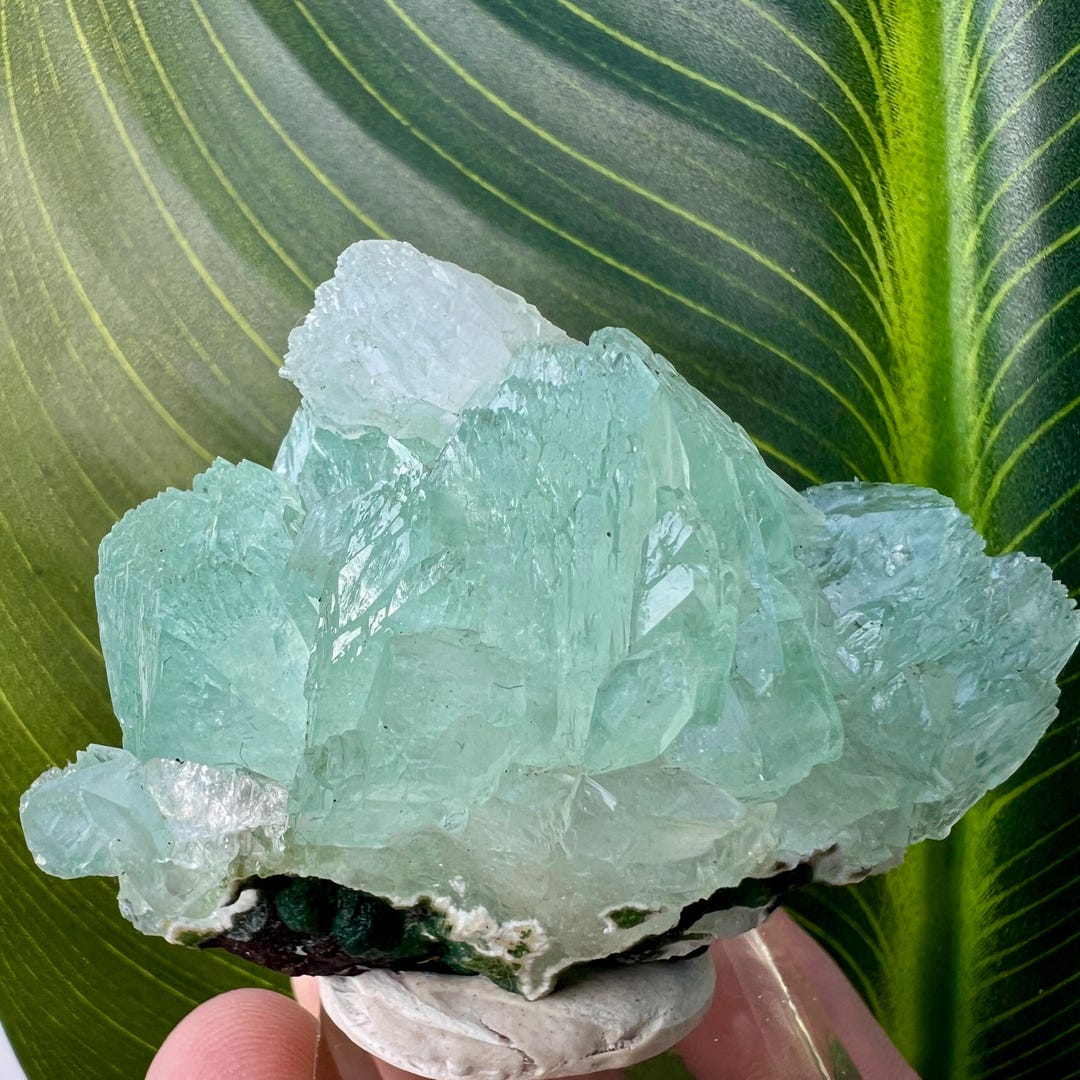 Rare Gemmy Green Apophyllite Crystal Cluster W/ Stilbite • 66 Grams ...