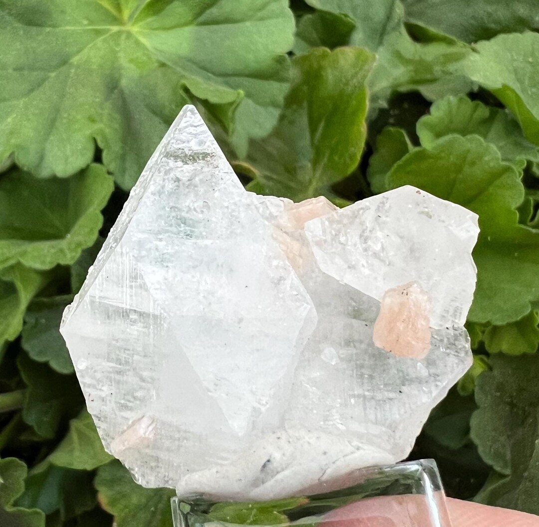 Shimmering Apophyllite Crystal Cluster of Points W/ Stilbite Crystals ...