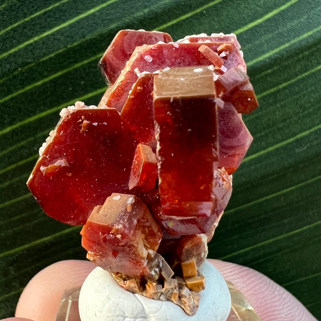 Self Standing Ruby Red Vanadinite Flower Cluster W/ Druzy Calcite • 31 ...