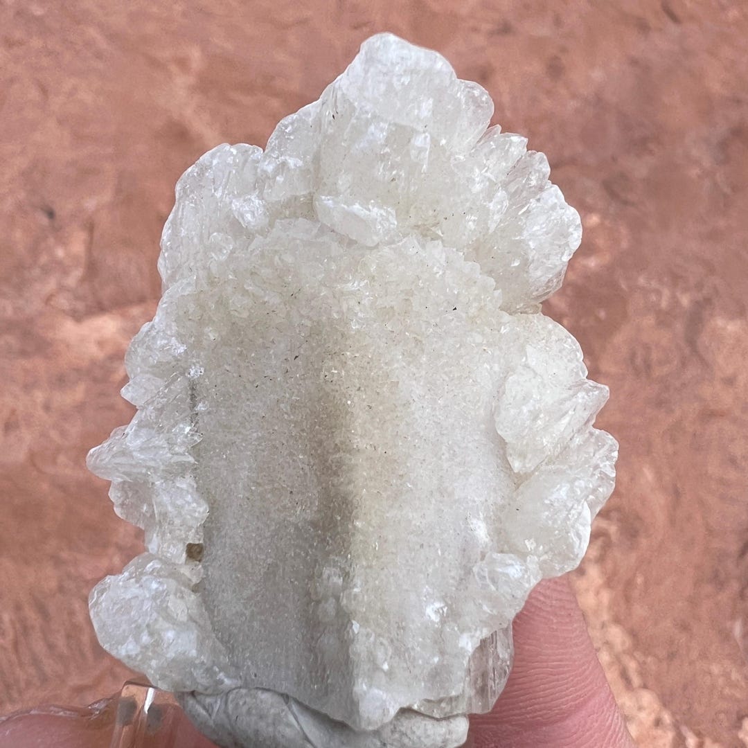 Danburite Crystal Encased in Flower Calcite • 43 Grams OLD STOCK ...