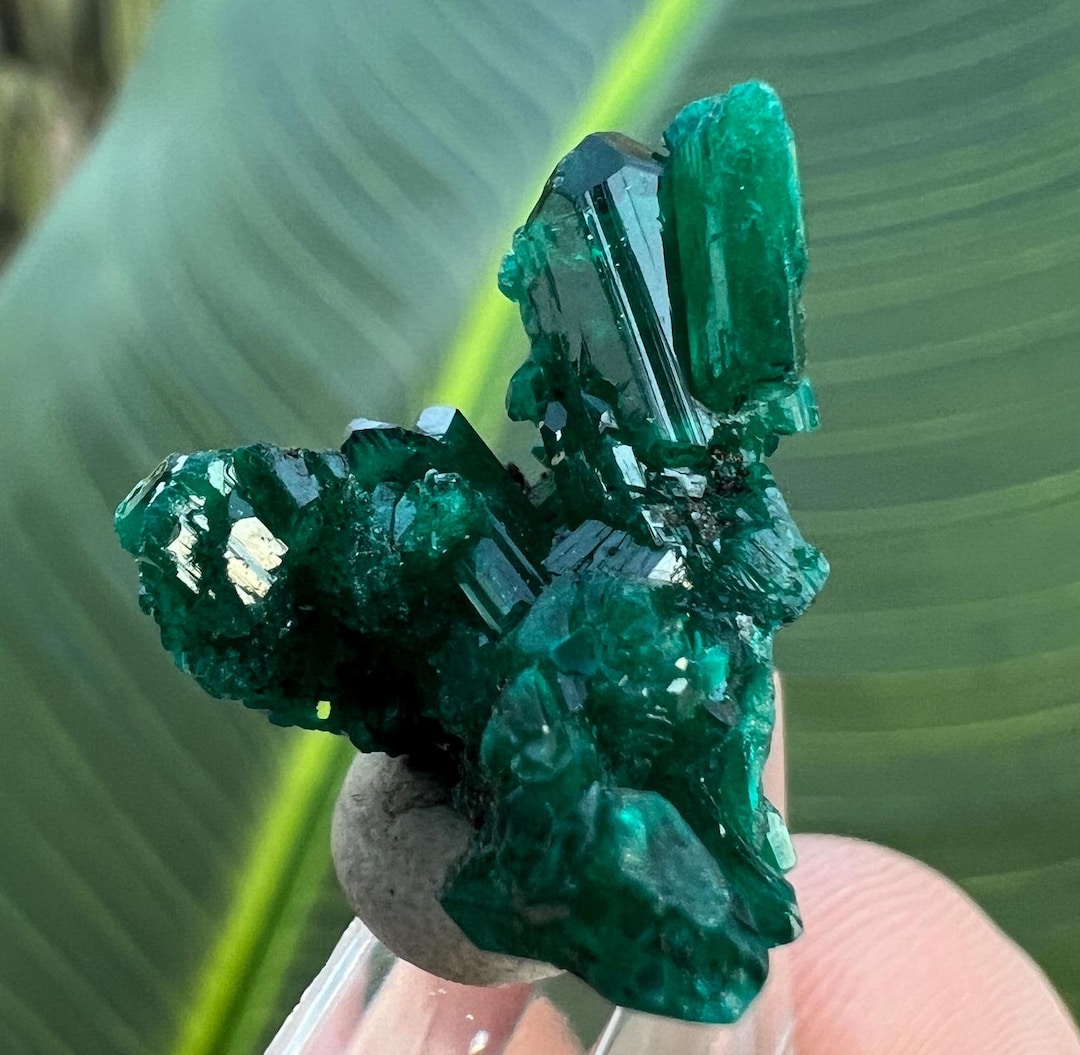 Gemmy Emerald Green Dioptase Crystal Cluster From Namibia 3.5 Grams Raw Natural Dioptase Cluster ...