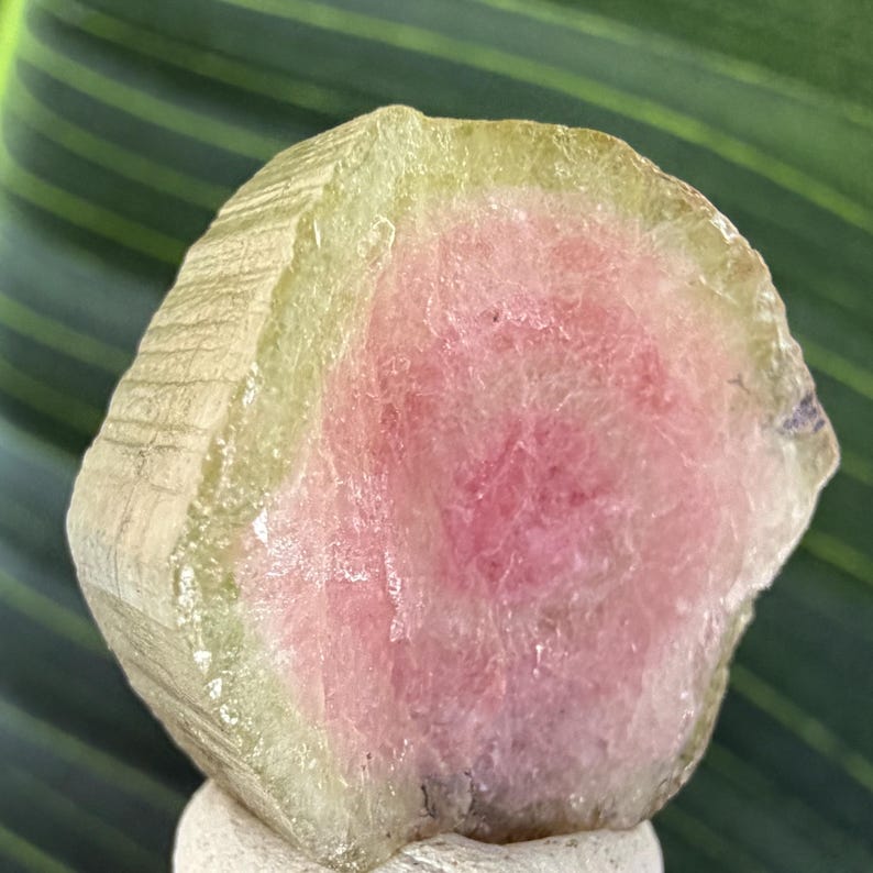 Juicy Natural Watermelon Tourmaline Crystal Slice • 6.9 Grams Raw ...
