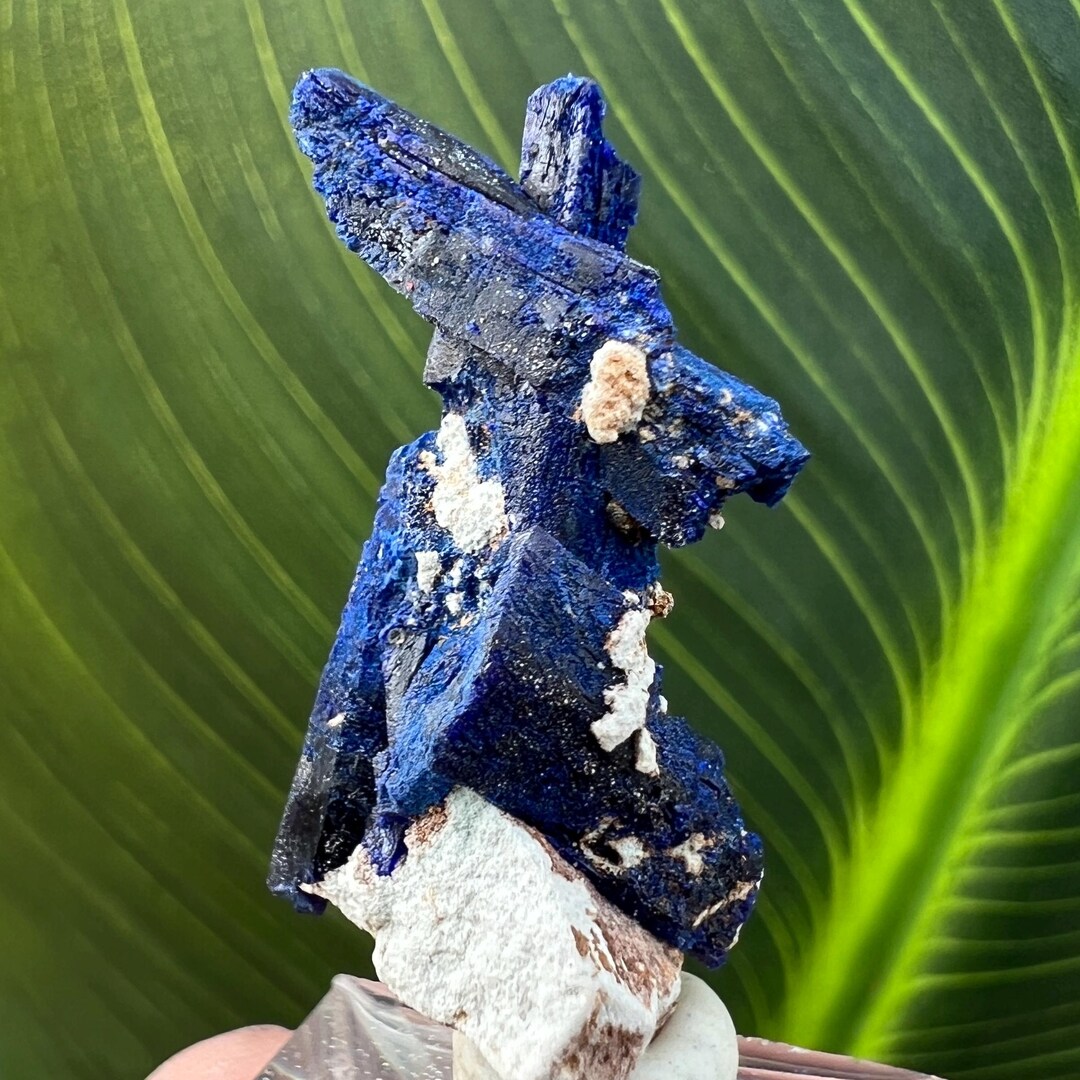 Unique Formation of Blue Azurite Cluster From Touissit Morocco • 5 ...