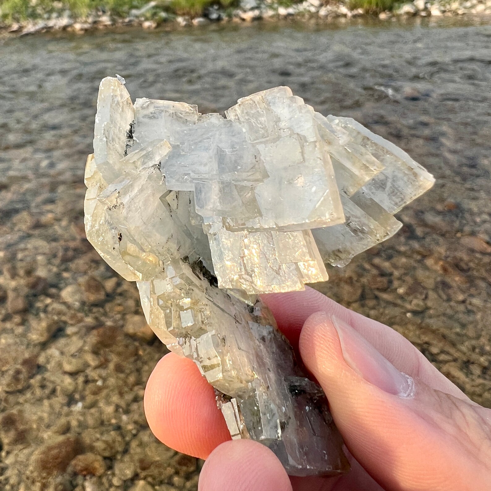 Extremely Nice Unique Cluster of Baby Blue Barite Fans From Morocco ...
