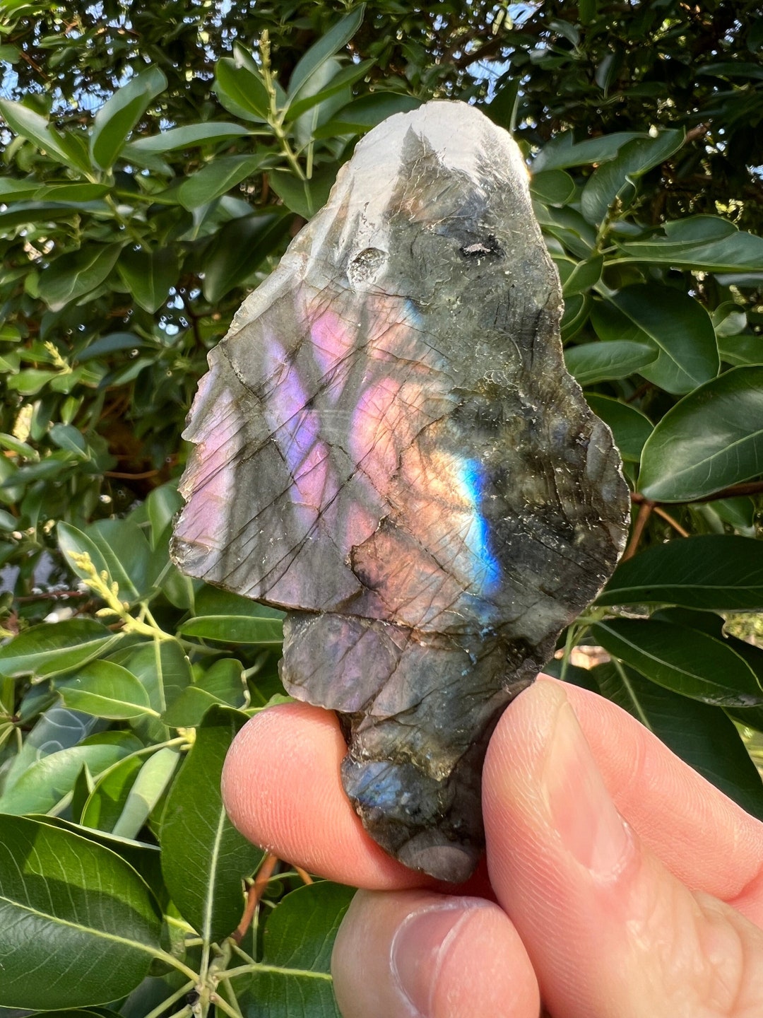 Rare Pink & Purple Labradorite W/ High Flash • 106 Grams • Labradorite ...