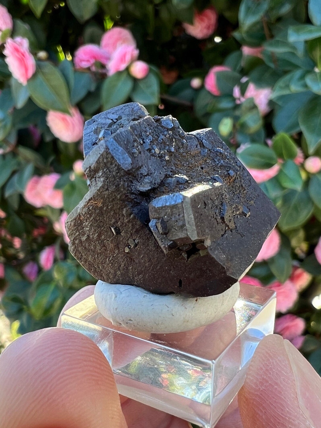 Crisp Edges Limonite Cube Cluster Display Specimen • 28 Grams • From ...