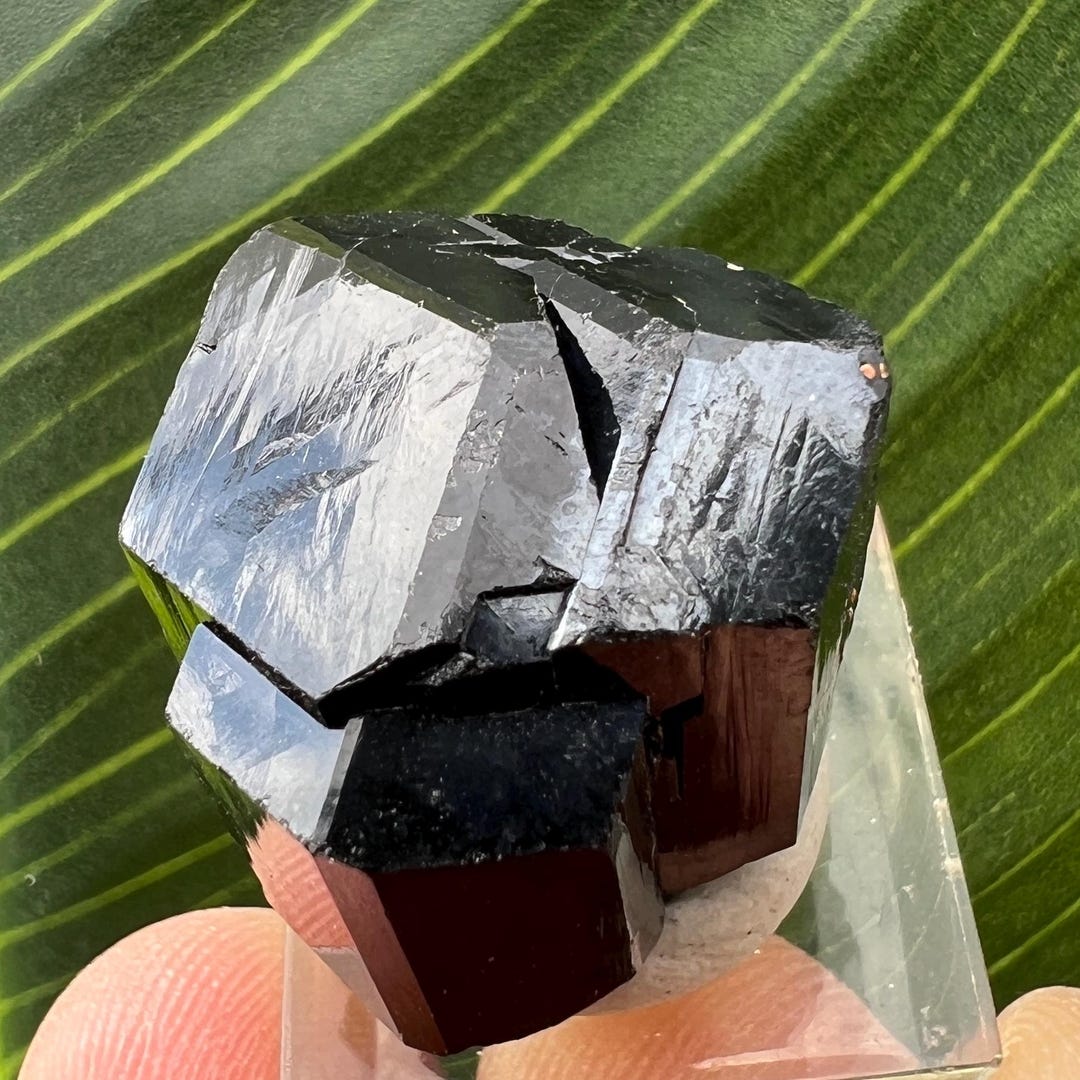 Black Tourmaline Crystal Mercedes Point From Erongo Namibia Africa • 19 ...