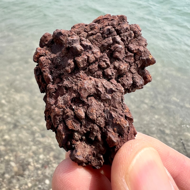 Coprolite - Etsy