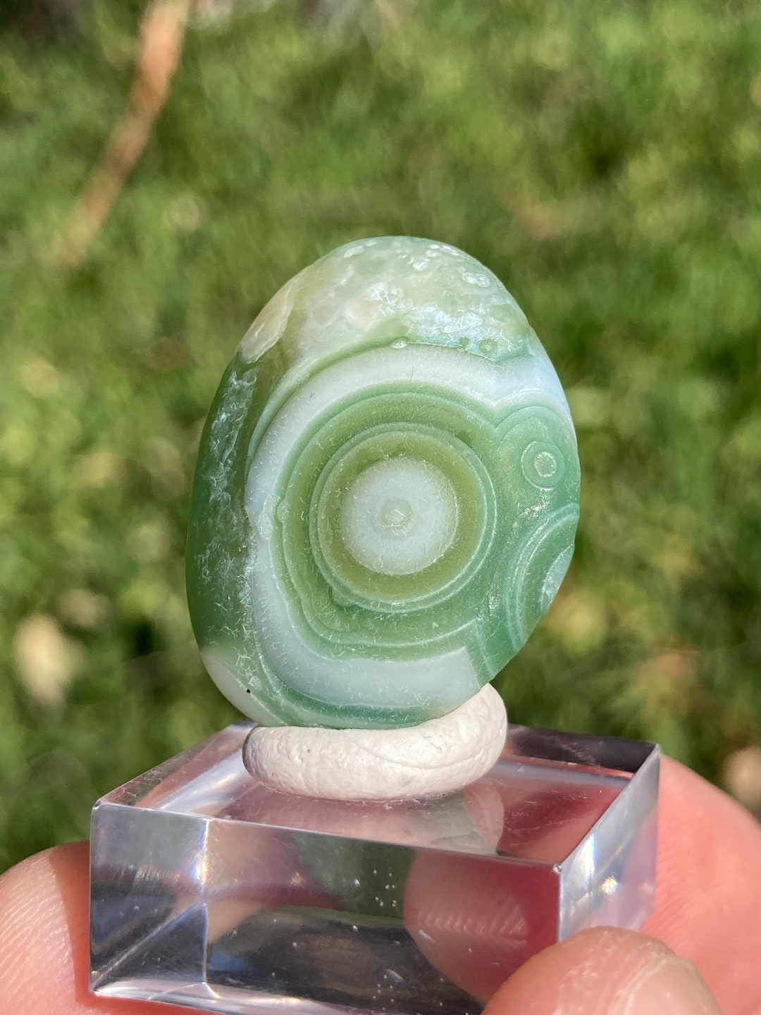 Nice Green and White Gobi Eye Agate Gobi Desert Mongolia Agate Rare ...