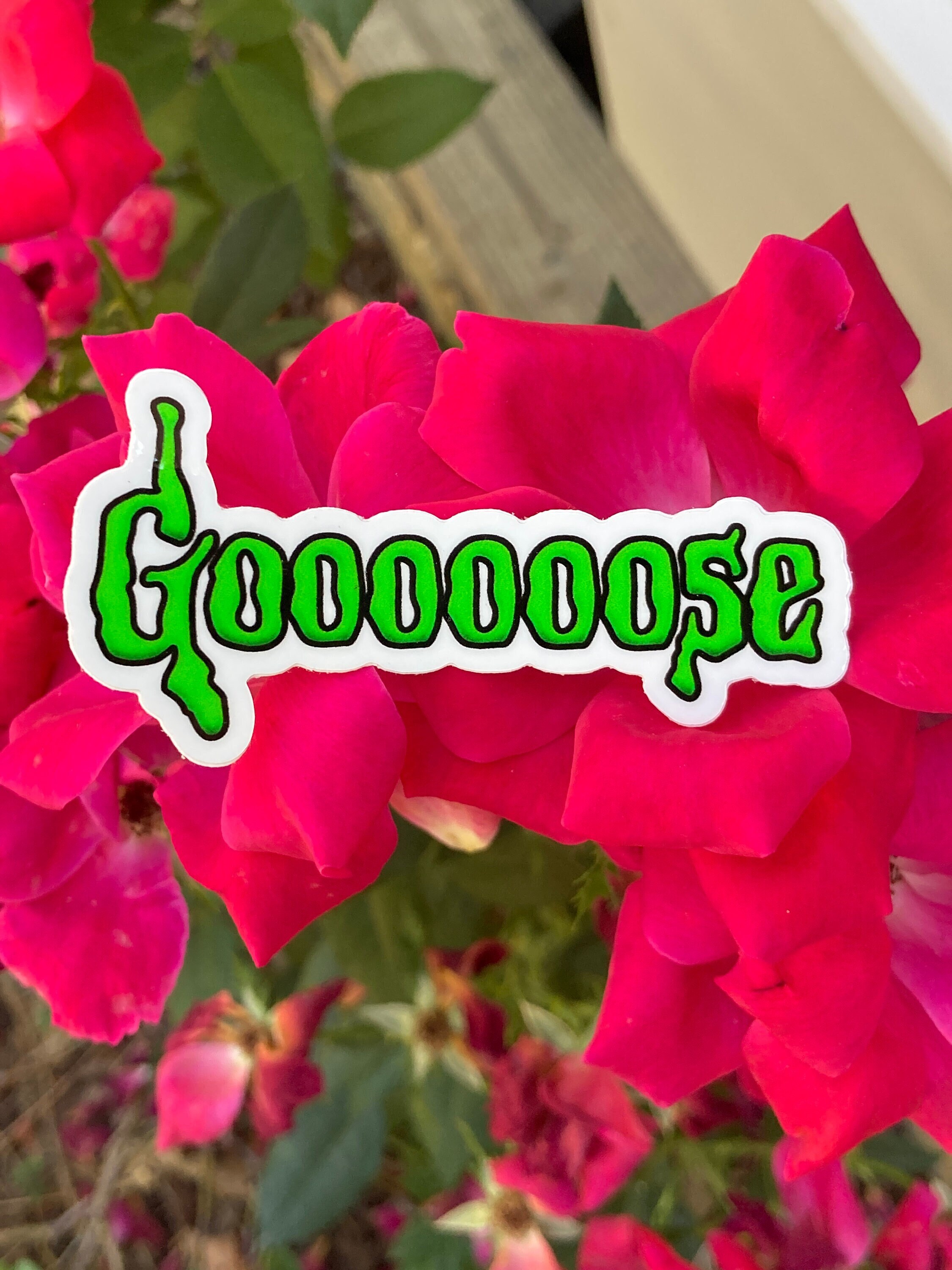 Goose the Band Sticker Goosebumps Book Theme Sticker BACK - Etsy