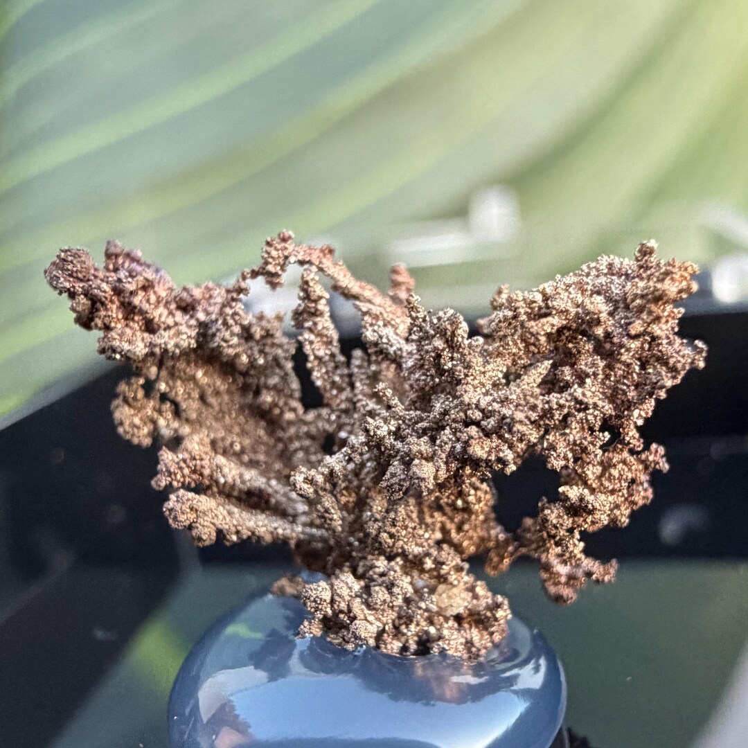 Immaculate Native Silver Crystal Elura Mine Cobar New South Wales ...
