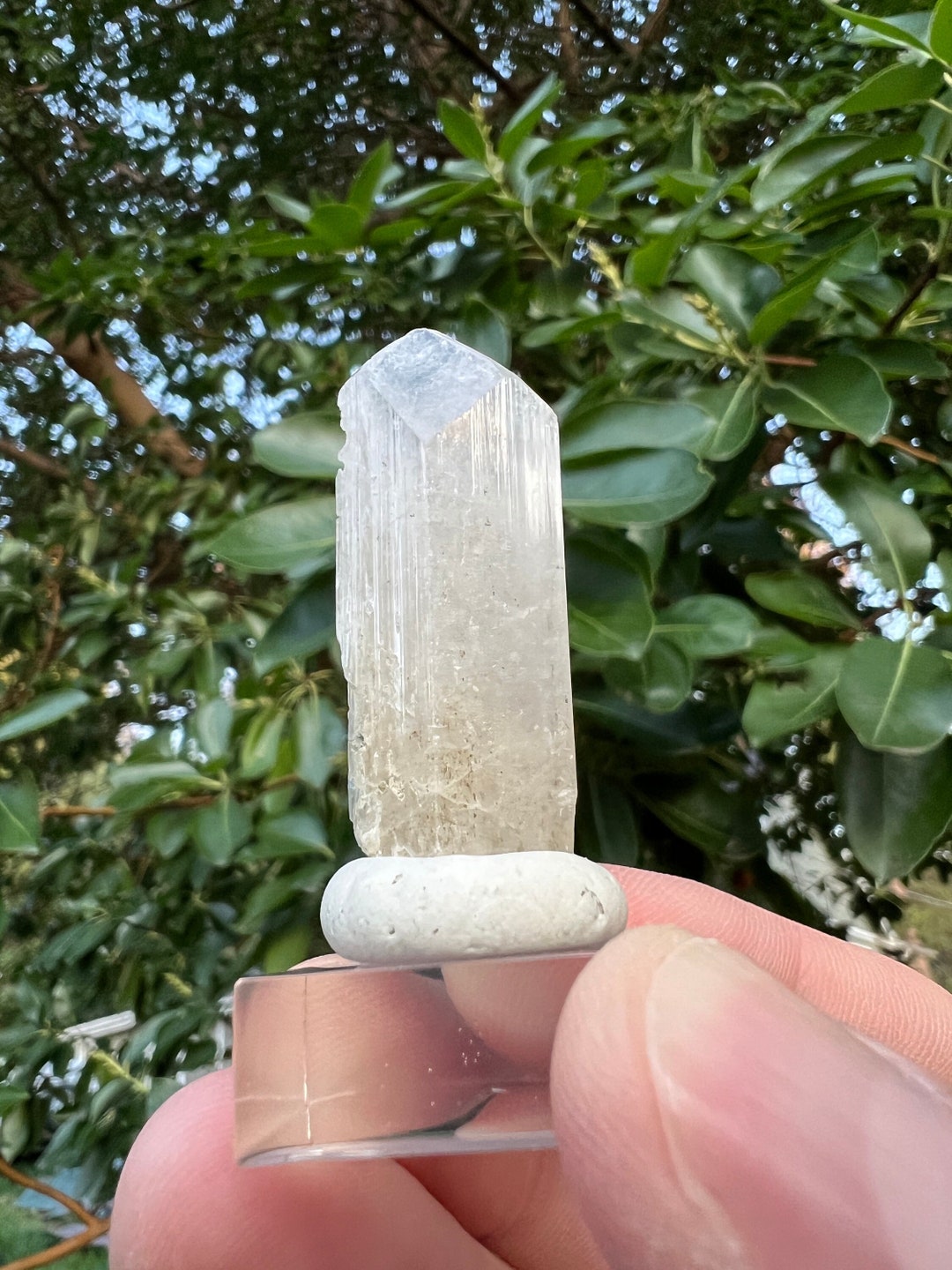 Shimmering Danburite Crystal • 17 Grams Natural DANBURITE Stone Sustainably Mined Crystal Rare ...
