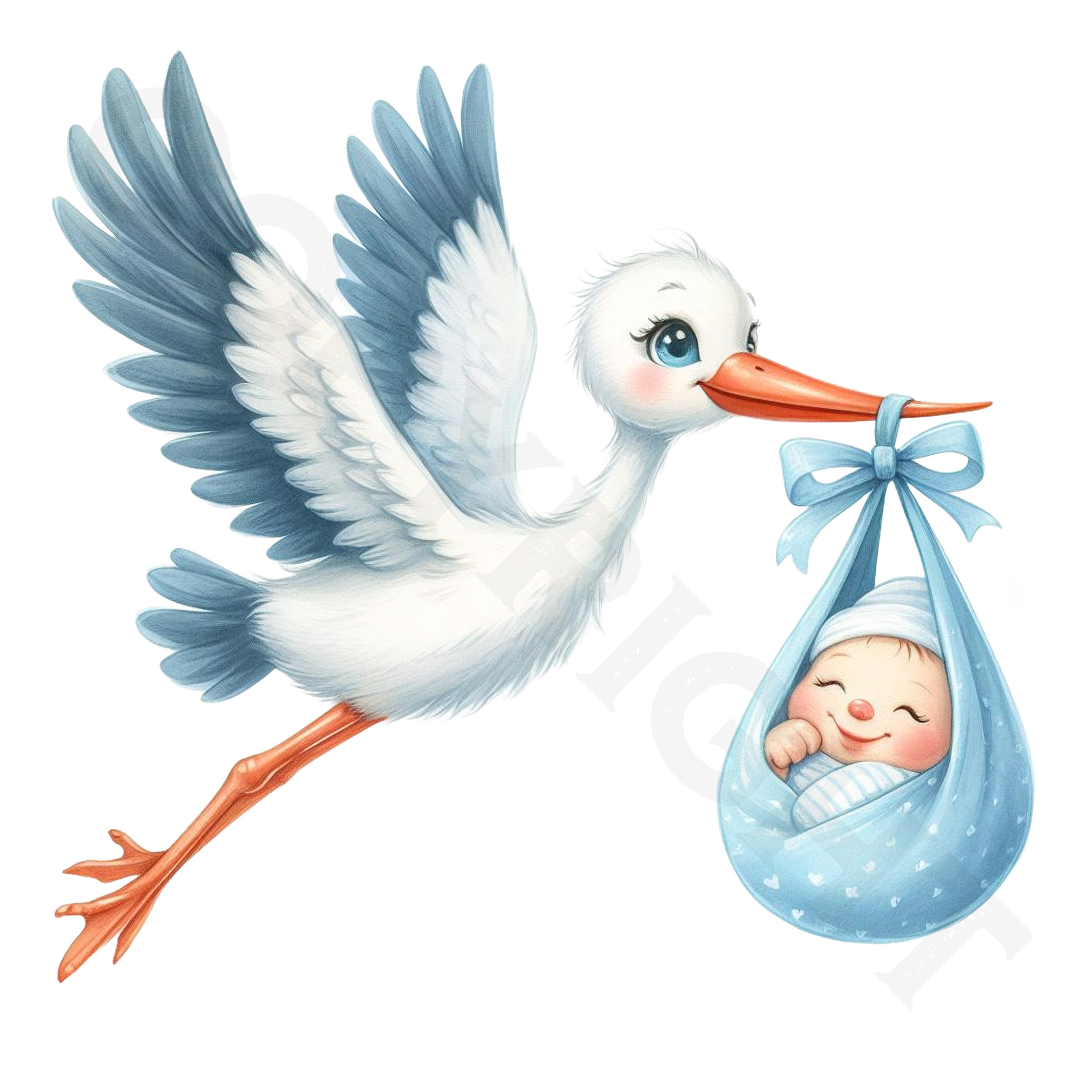 Cicogna Baby Boy Clipart / 10 immagini PNG trasparenti di alta qualità ...