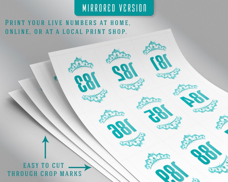 Teal Tiara Number Cards 1-1000 (digital Download) - Etsy