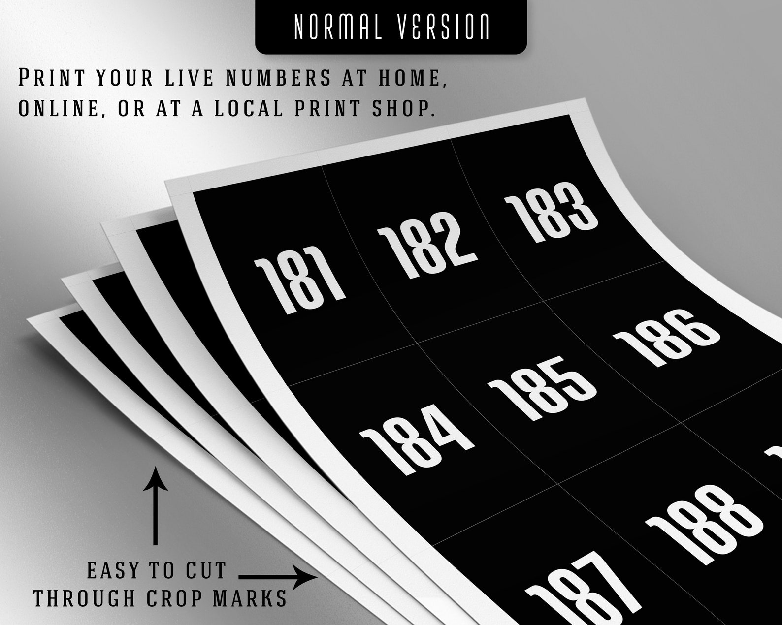Live Number Cards 1-1000, Mirrored & Normal (digital Download) - Etsy