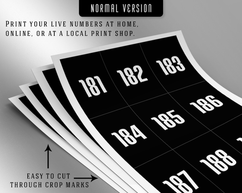 Live Number Cards 1-1000, Mirrored & Normal (digital Download) - Etsy