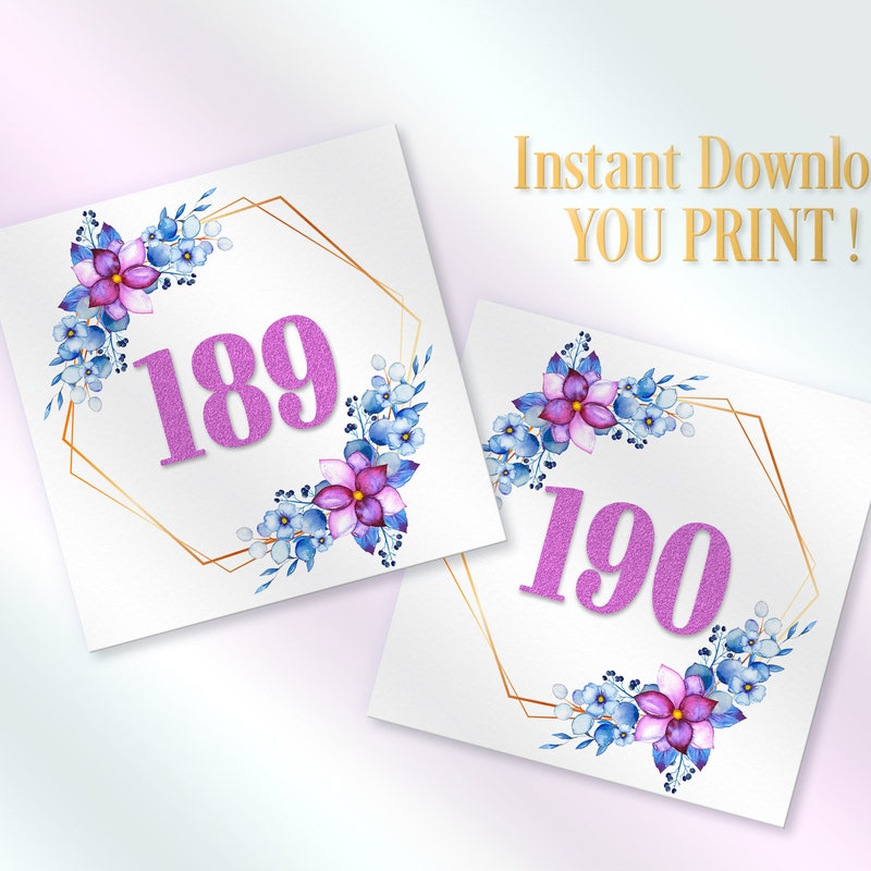 Paparazzi Numbers - Etsy